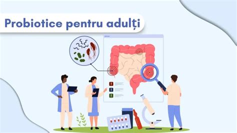 Cele Mai Bune Probiotice Pentru Adulți