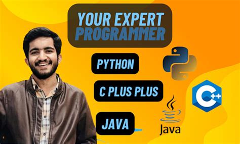 Be Your Python Java C Plus Plus Expert Programmer Do Programming