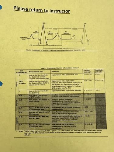 Exam 2 Lab Flashcards Quizlet