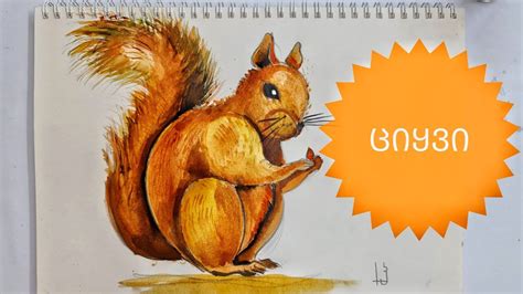 როგორ დავხატოთ ციყვი How To Paint A Squirrel Easy Step By Step
