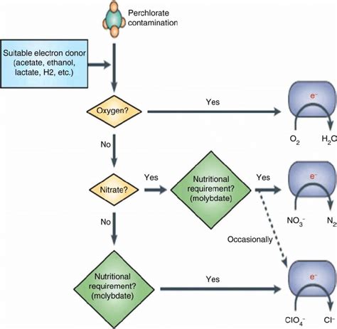 Factors Influencing Microbial Perchlorate Reduction Bardiya And Bae Download Scientific