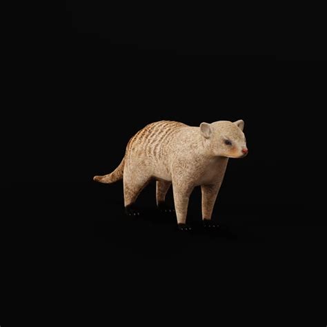 mongoose modelos 3d descargar
