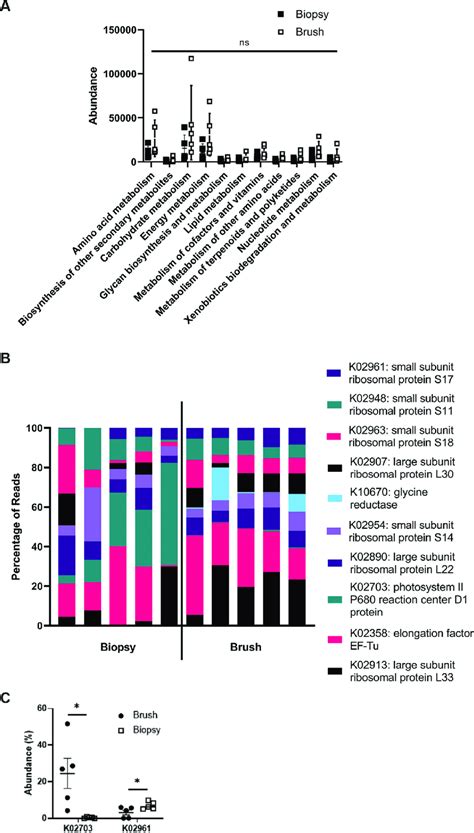 Metatranscriptomic Analyses Reveal Minimal Differences Between Download Scientific Diagram