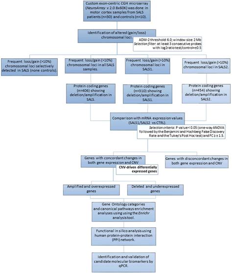 Experimental Workflow Of Multi Omics Analysis For Characterization Of Download Scientific