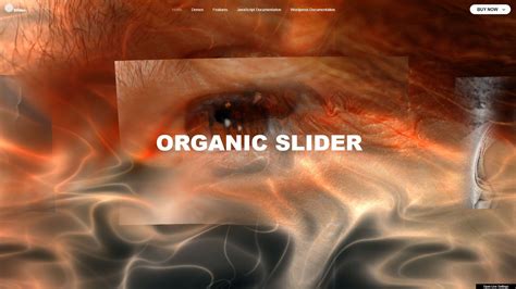 Organic Slider Javascript Plugin By Fwdesign Codester