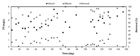Evolution Of Influent And Effluent Tp Concentrations And Overall Tp