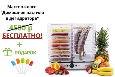 Сушилка (дегидратор) Gochu D-310 купить в интернет-магазине Техника ...