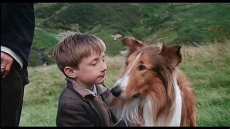 Lassie 1994 Wallpapers Wallpaper Cave