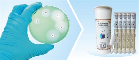 Transport And Storage Of Antimicrobial Discs • Microbe Online