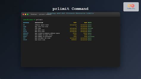 Nice Command Linux Complete Guide To Process Priority Management Codelucky