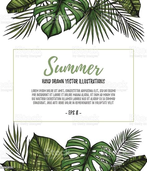 여름 열 대 엽서 서식 파일입니다 팜 프레임 잎 손으로 그린 벡터 일러스트 레이 션 인쇄 포스터 초대장 섬유 등 포장에 대 한 완벽 한 몬스테라속에 대한 스톡 벡터 아트 및