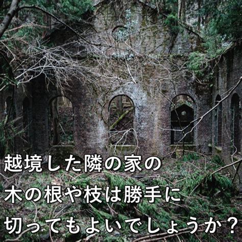 越境した隣の家の木の根や枝は勝手に切ってもよいでしょうか？ はるりんの不動産広場