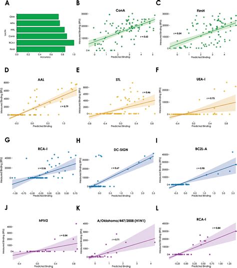 Lectinoracle Predicts Binding Of Lectins To A Wide Range Of Different Download Scientific