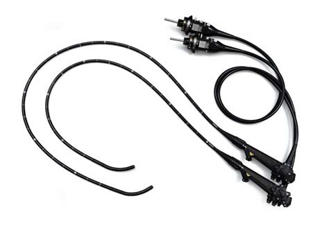 Colonoscopy Scope Upper Gi Endoscopy And Colonoscopy Healthdirect