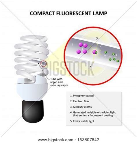 How Do CFLs Work Compact Fluorescent Lamp Also Called Compact Fluorescent Light Or Energy