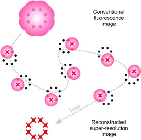 Principle Of Localization Microscopy Using Photoswitchable Organic Download Scientific Diagram