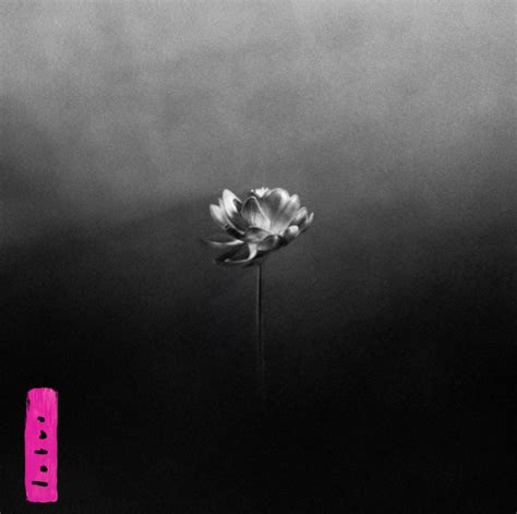 Little Simz Announces Intimate Uk Record Store Shows