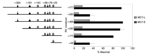 Transient Transfections Of 5 Deletion Luciferase Constructs Mcf 7e