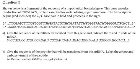 question 1 shown below is a fragment of the sequence of a hypothetical