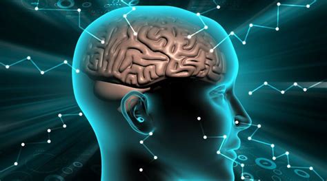 Exactech Launches Novel Total Hip Arthroplasty System G Medtech News