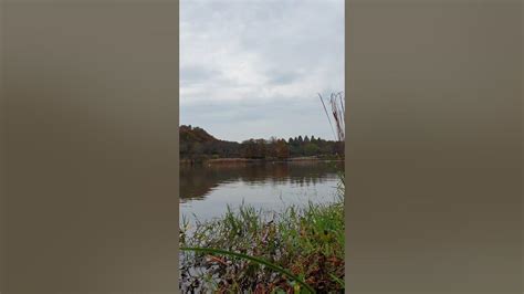 빗 소리 들으며 호수 물멍 Youtube