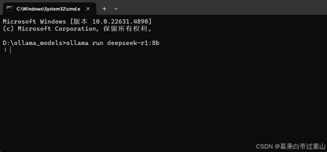 本地部署deepseek r1大模型 macos 部署vllm csdn博客
