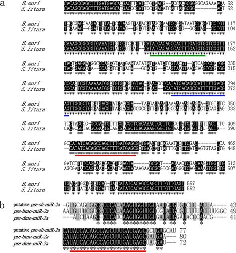 a the sequence alignment of partial sequences of pri mir 2a between