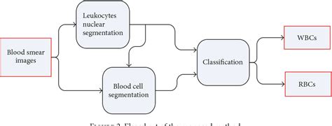 figure 1 from simultaneous segmentation of leukocyte and erythrocyte in