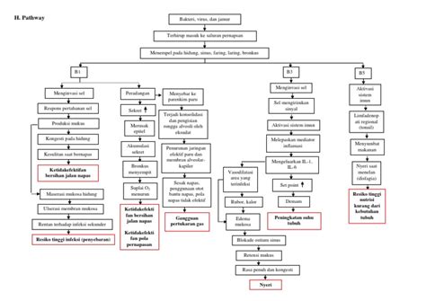 Dampak Infeksi Saluran Pernapasan Pdf
