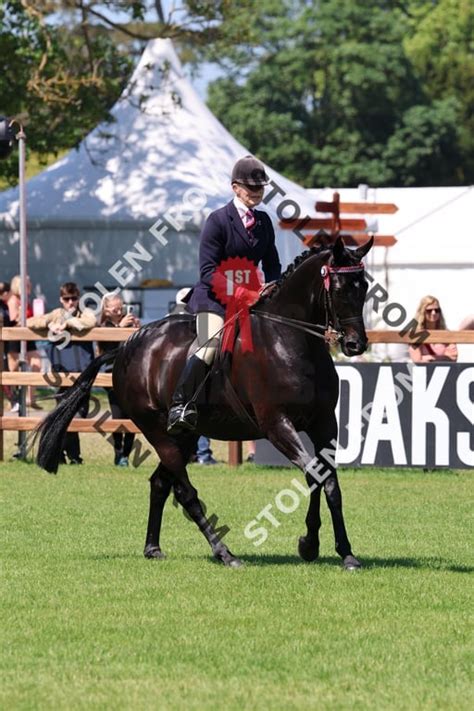 S331566 2025 1st Class Images