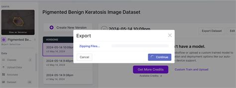 Exporting Files Not Working For Object Detection 🤝 Community Help Roboflow