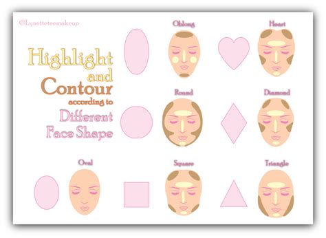[diagram] Venn Diagram Makeup Mydiagram Online