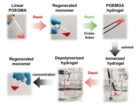 Catalyst Free Depolymerization Of Polymers Synthesized By Controlled Radical Polymerization