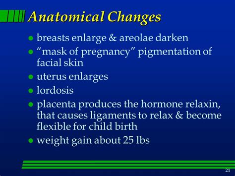 Pregnancy And Human Development Ppt Video Online Download