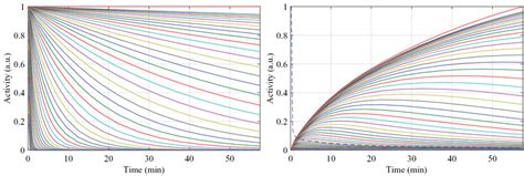 Spectral Temporal Basis Functions Here 50 Exponential Functions Are
