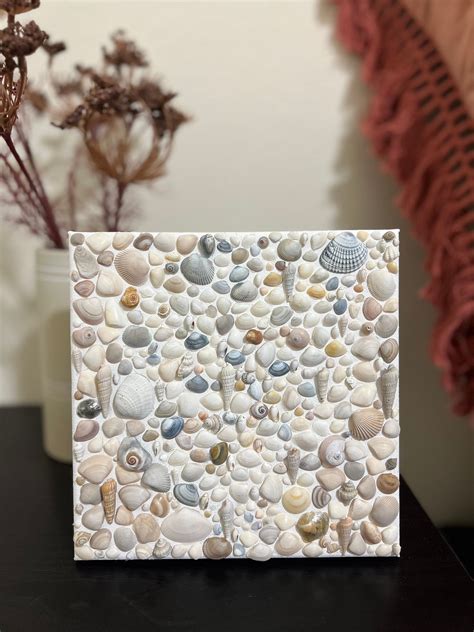 Seashell Canvas Etsy