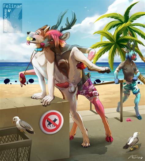 Rule 34 Anal Anatomically Correct Animal Genitalia Anthro Backsack