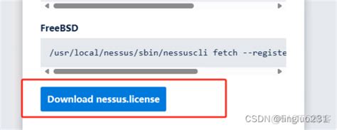 Nessu设置中文 Nessus如何使用 Mob6454cc75556b的技术博客 51cto博客