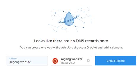Cara Install Wordpress Di Vps Menggunakan Serverpilot Sugengid