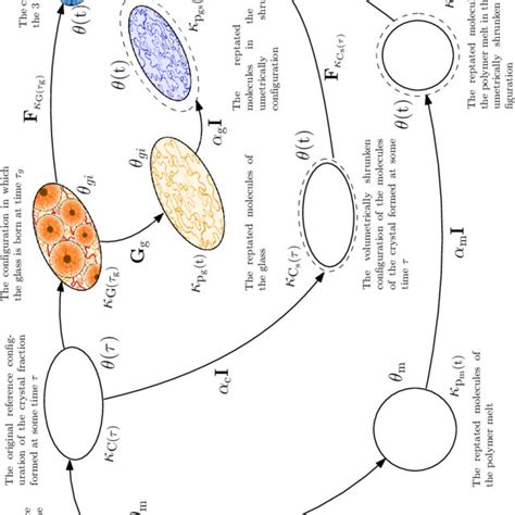 Representative Configurations Occupied By The Three Phase Constrained Download Scientific