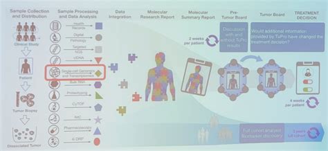 Ibcn 2024 Keynote Lecture Inferring Tumor Evolution From Single Cell Data