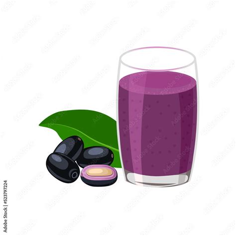 Vector Illustration Jambolan Plum Juice Or Javanese Plum Scientific
