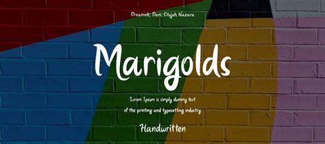 Marigolds Font Download Free Fontdownload