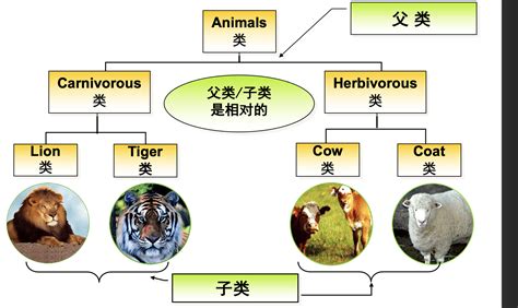 Python面向对象封装继承多态 It策士 博客园