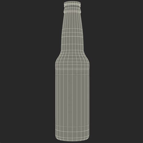 Бутылка пива Сэмюэля Адамса 3D Модель $19 - .max .3ds .lwo .obj .ma ...