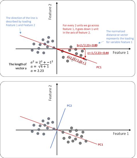 What Are Pca Loadings And How To Effectively Use Biplots