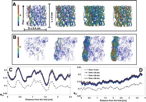 Pore Scale Porosity Permeability And Velocity Evolution With Time For