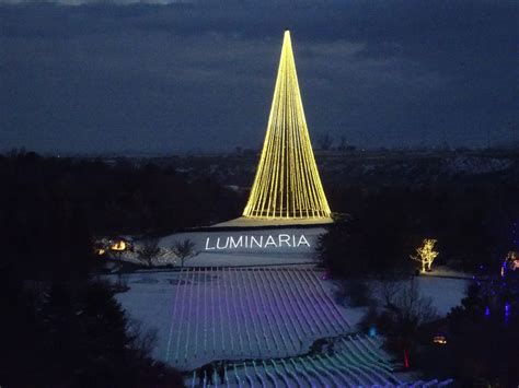 Trying To Stay Calm Luminaria Experience The Light Review