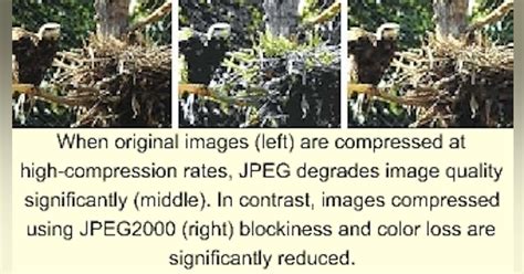 Wavelets Hold The Key To Jpeg2000 Compression Vision Systems Design