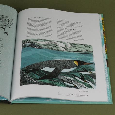 ‘birds From Wildegoose Nursery